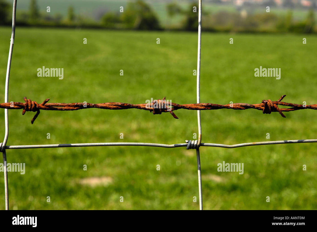 Barbed Wire stopping access to field Stock Photo - Alamy