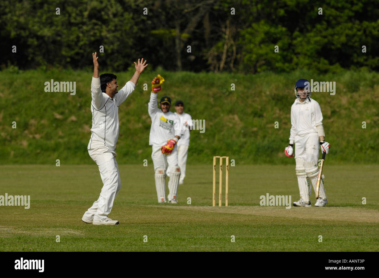 Cricket appeal hi-res stock photography and images - Alamy