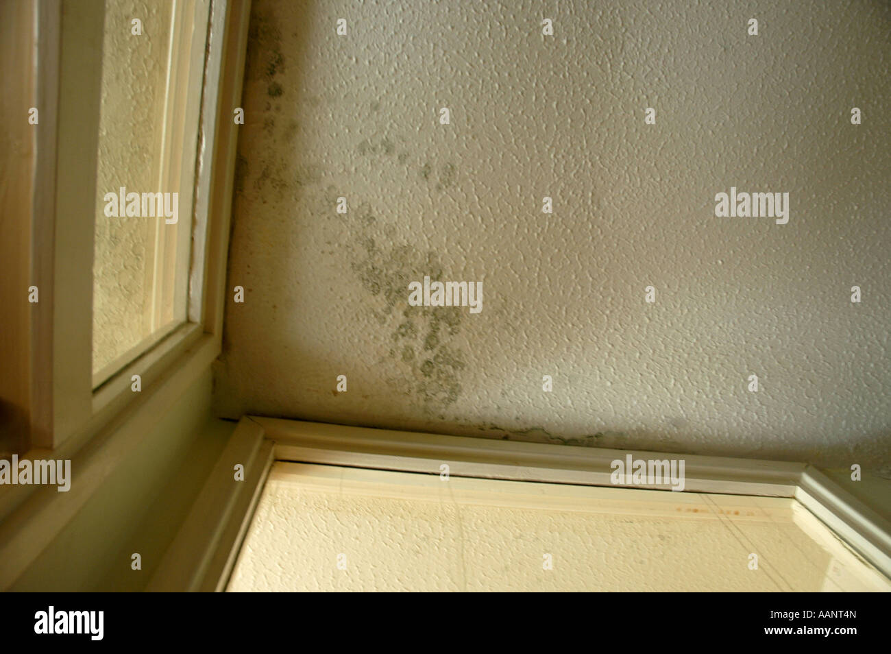 Damp in flats hi-res stock photography and images - Alamy