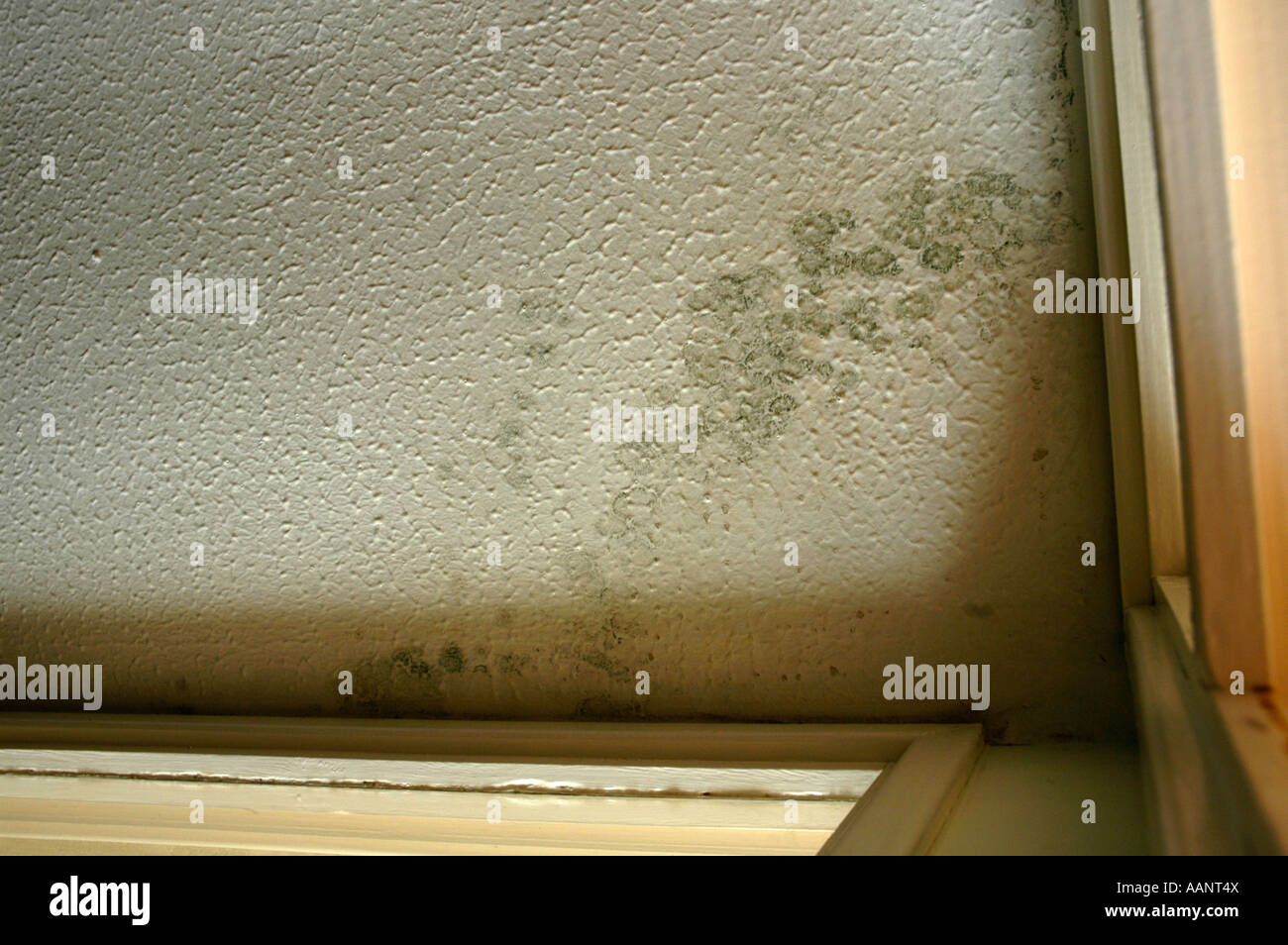 Damp Ceiling in flat from water overflow above Stock Photo - Alamy