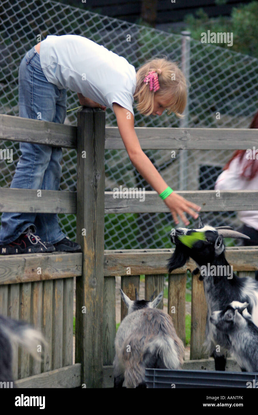 Goat bending hi-res stock photography and images - Alamy