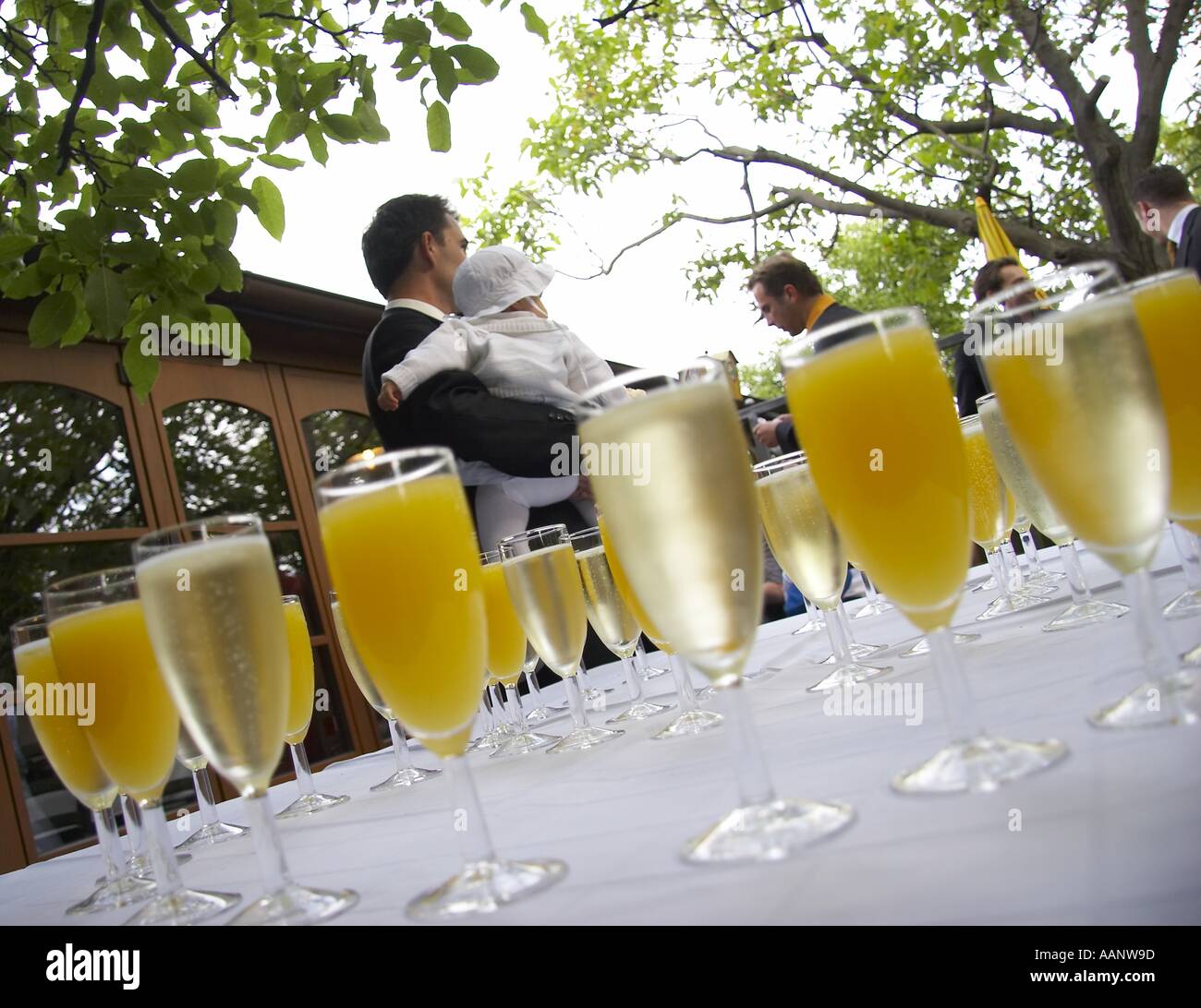 reception of wedding guests with champagne Stock Photo - Alamy