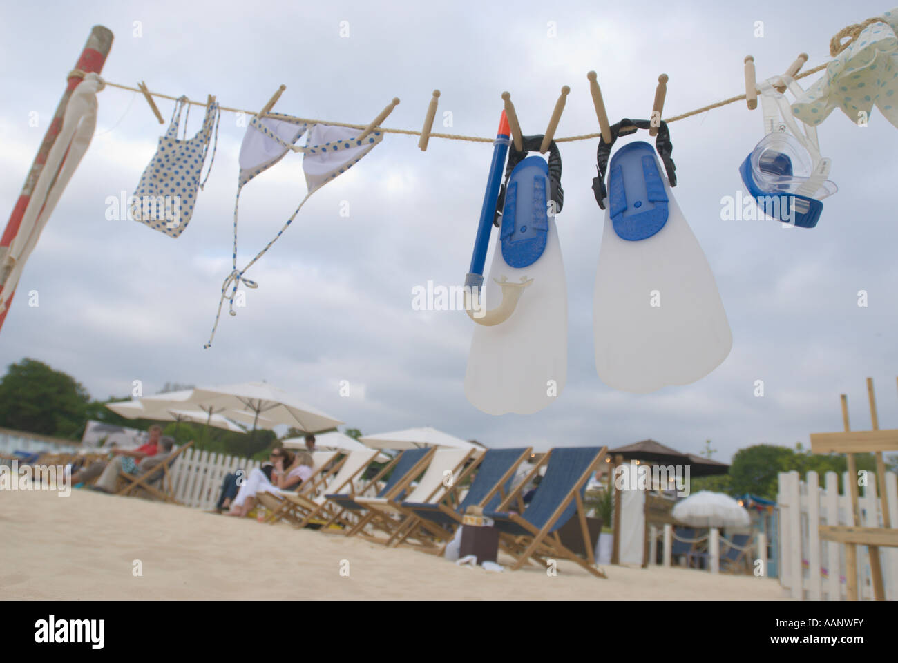 Flipper Top High Resolution Stock Photography and Images - Alamy