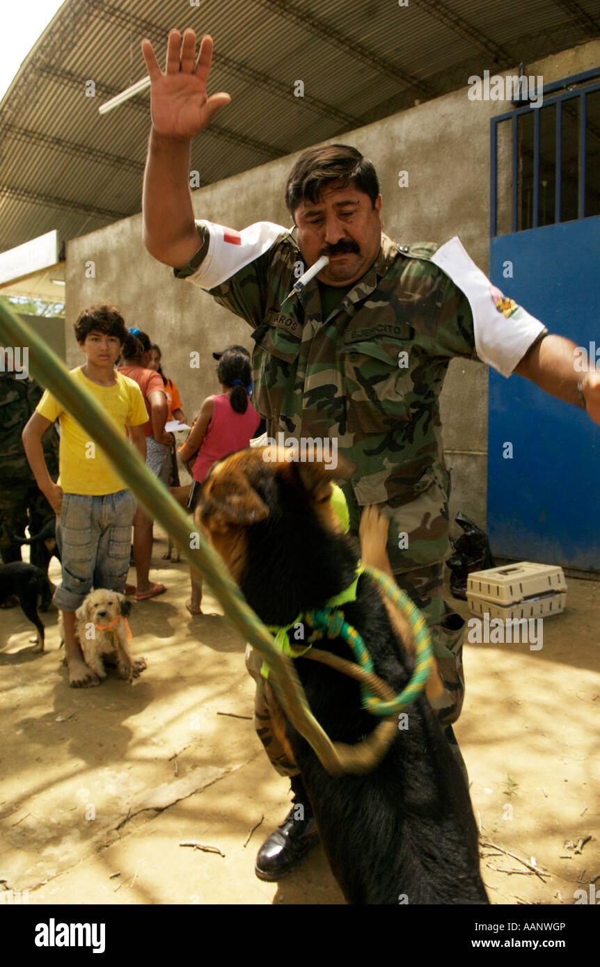 World society protection animals wspa hi-res stock photography and ...