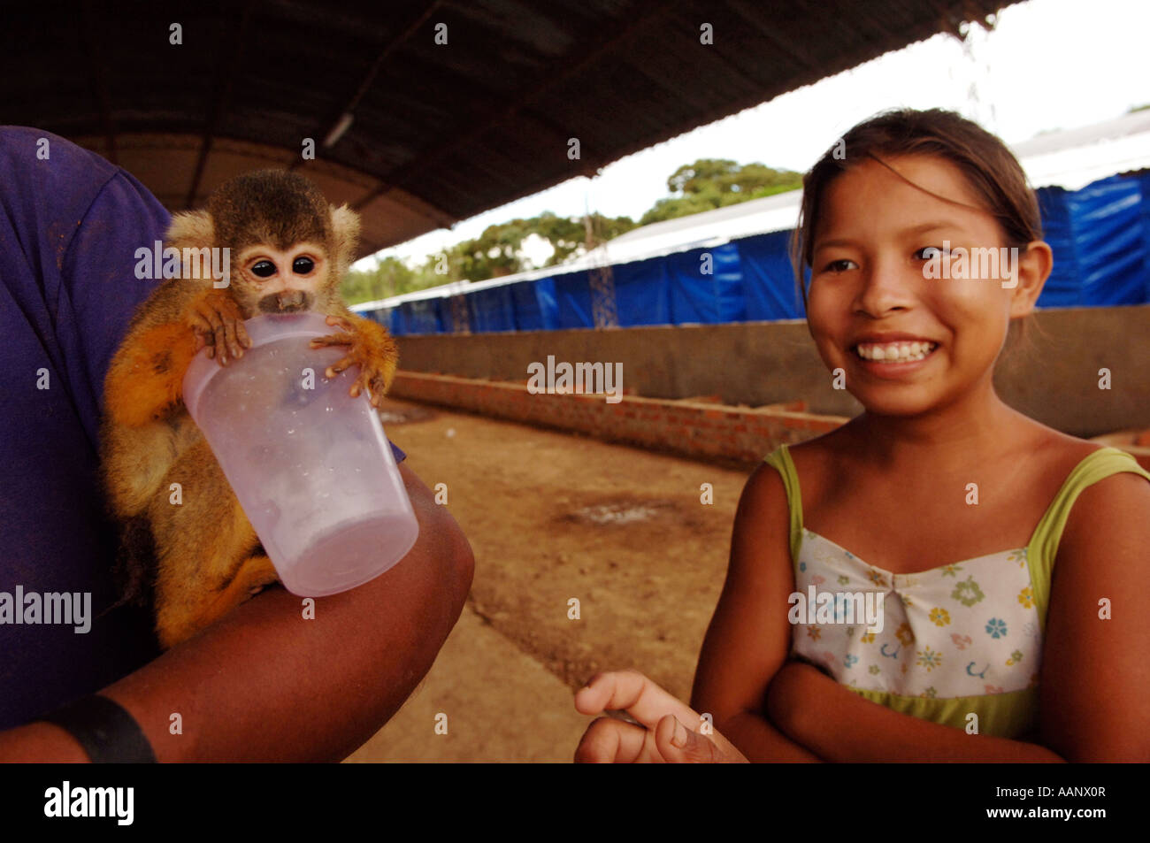 Monkey pet hi-res stock photography and images - Alamy