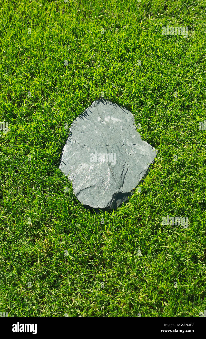 A stepping stone Stock Photo - Alamy