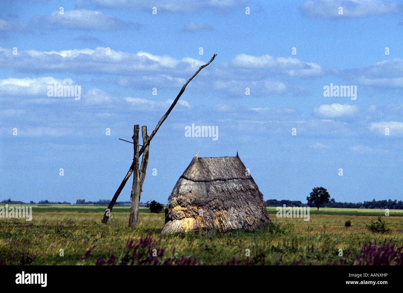 Hungarian pusta hi-res stock photography and images - Alamy