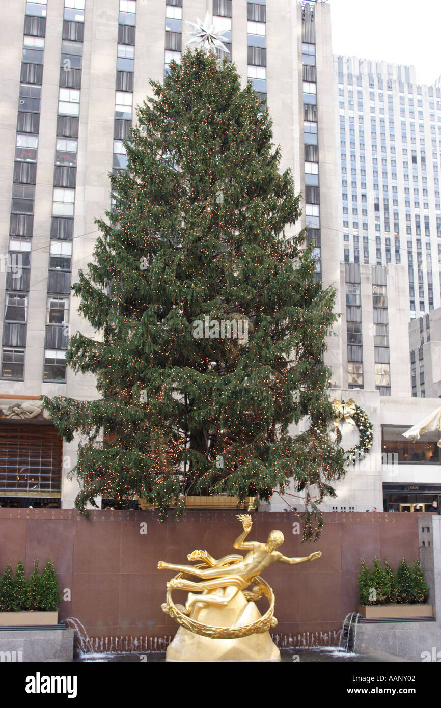 Christmas Tree Prometheus Statue Rockefeller Center Manhattan New York ...