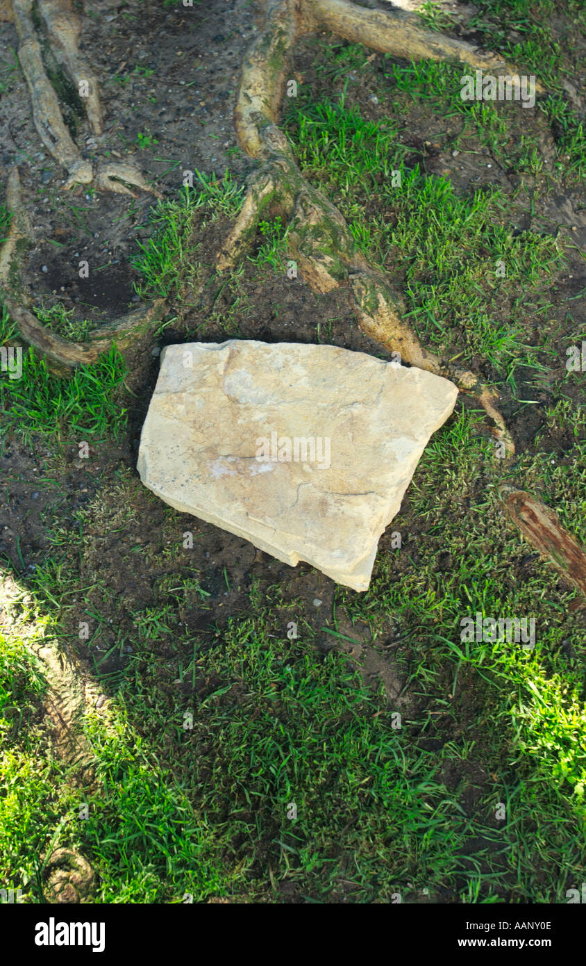 A stepping stone Stock Photo - Alamy