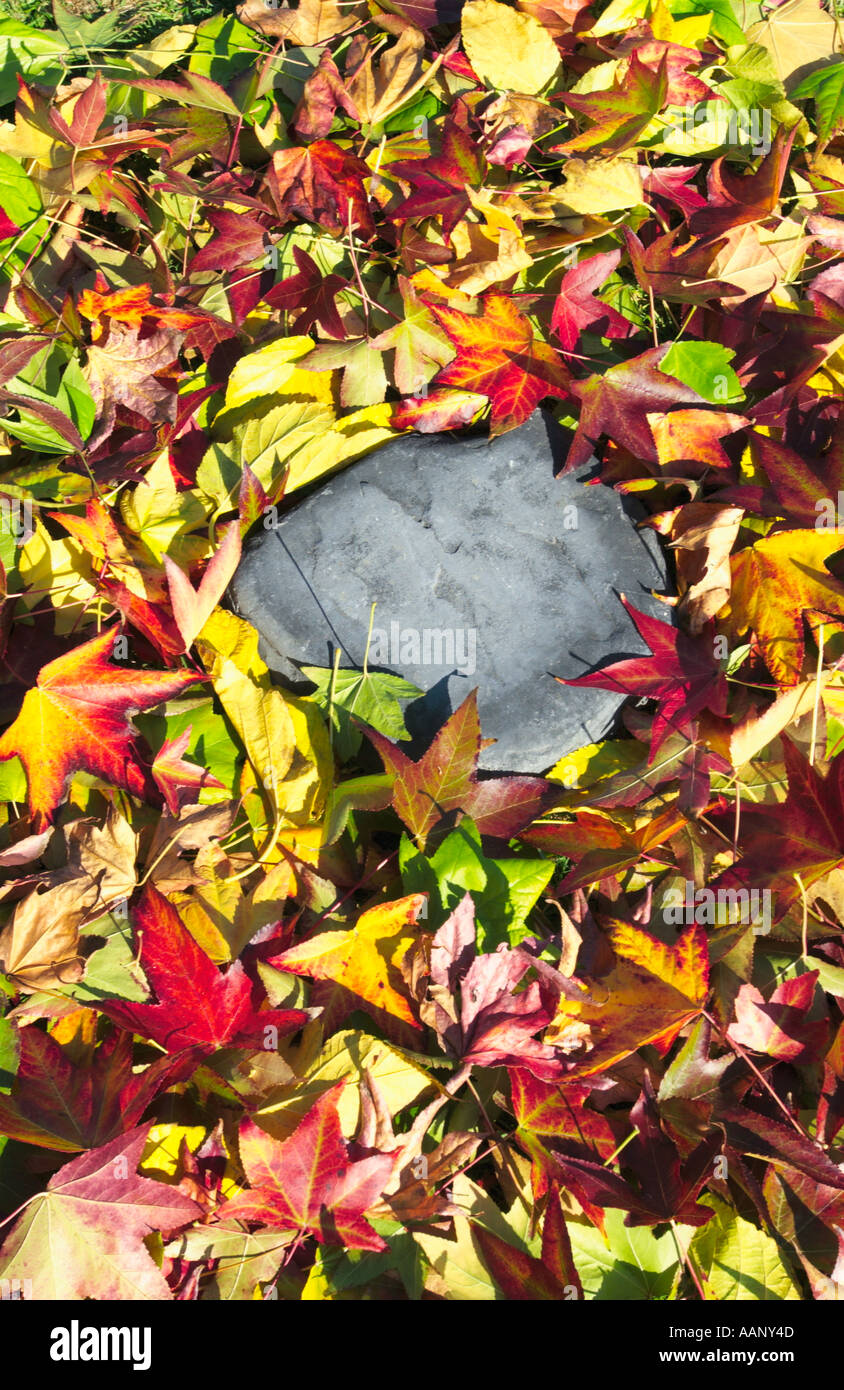 A stepping stone Stock Photo - Alamy