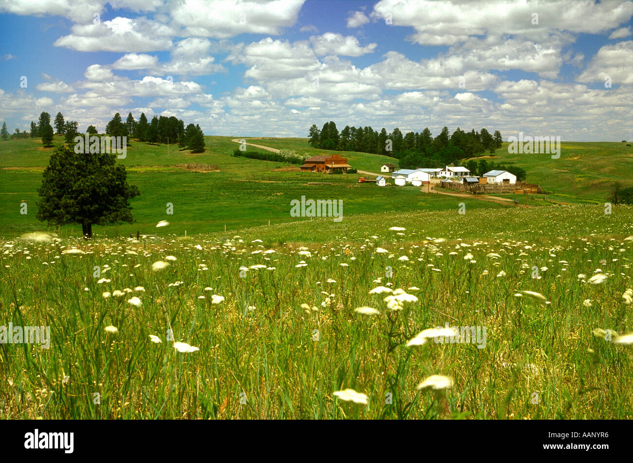 Big lake ranch hi-res stock photography and images - Alamy