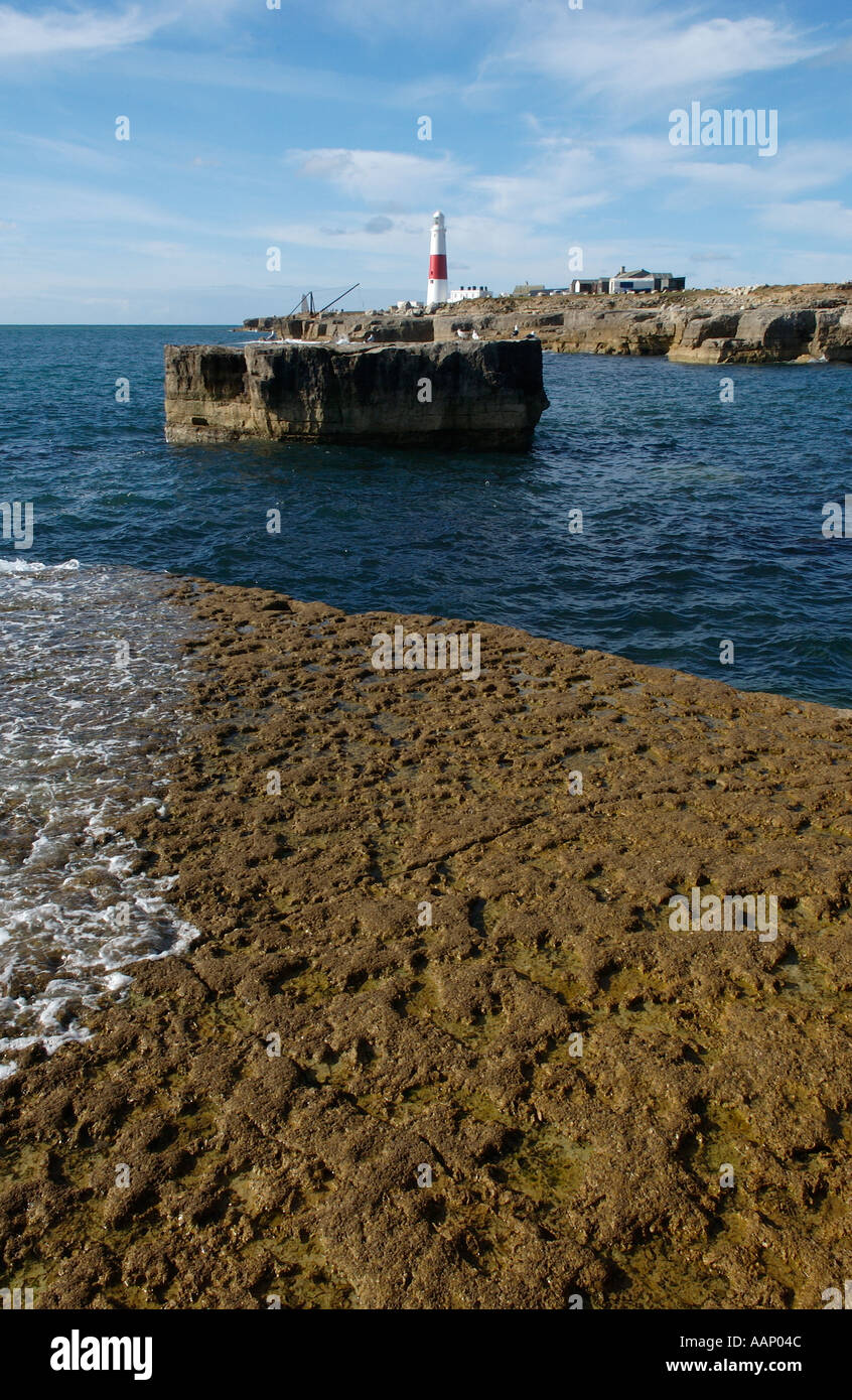 A wave cut platform of Portland limestone on the UNESCO Jurassic World ...