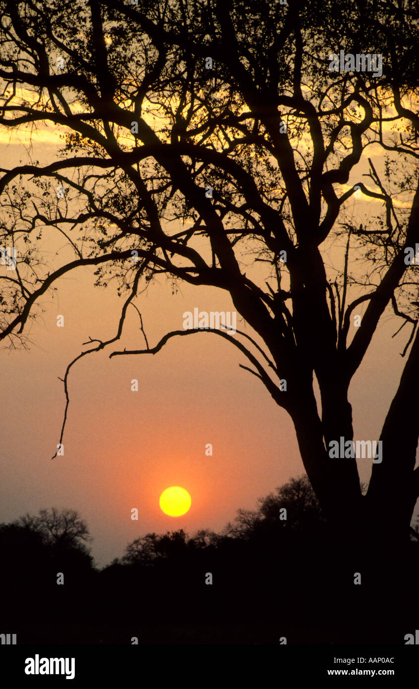 Zambian sunset hi-res stock photography and images - Alamy