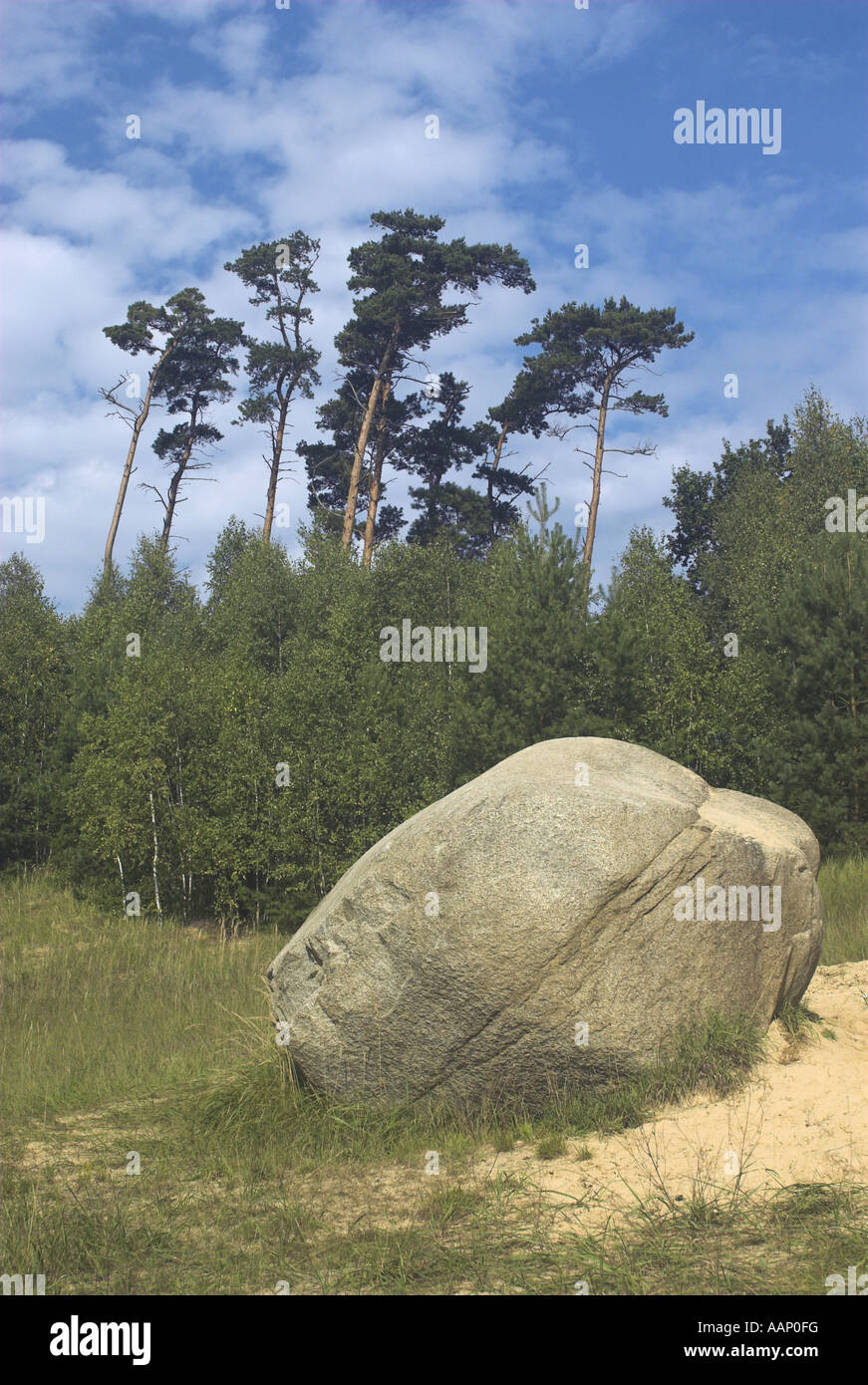 large erratic block, Germany, Mecklenburg-Western Pomerania, Barhoeft ...