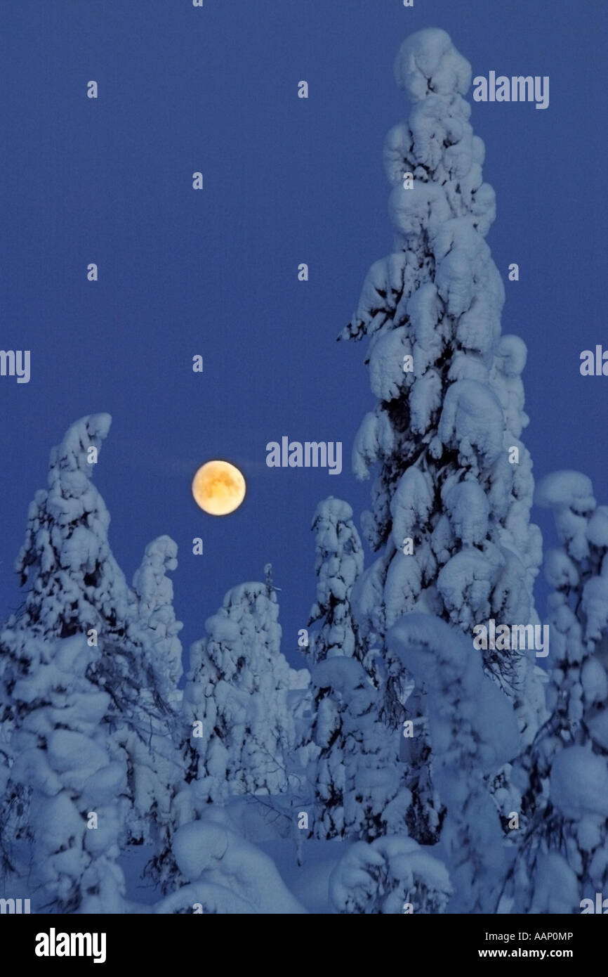 full moon night in Kuusamo, Finland, Oulu Stock Photo - Alamy
