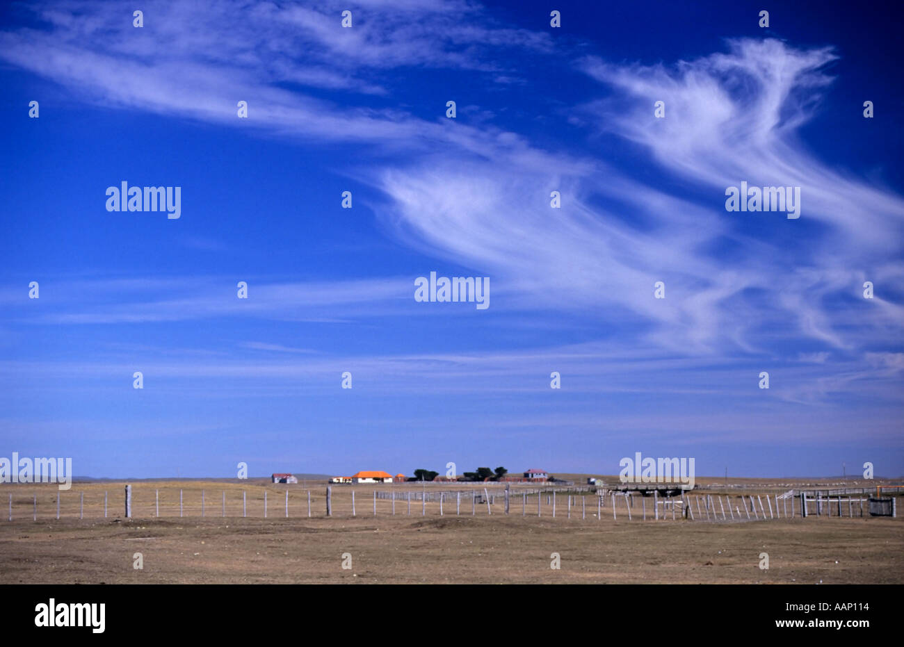 Sheep farming, Tierra del Fuego, Chile / Argentina border Stock Photo ...