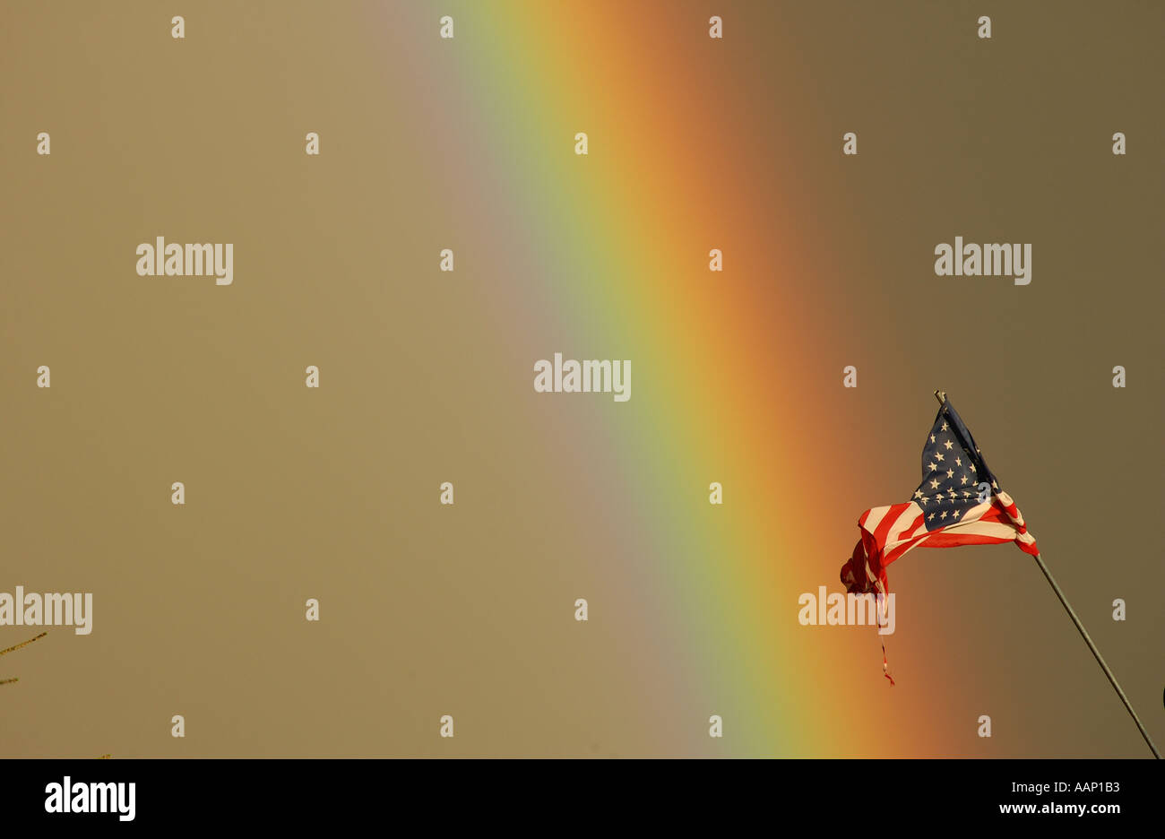 Rainbow colored american flag hi-res stock photography and images - Alamy