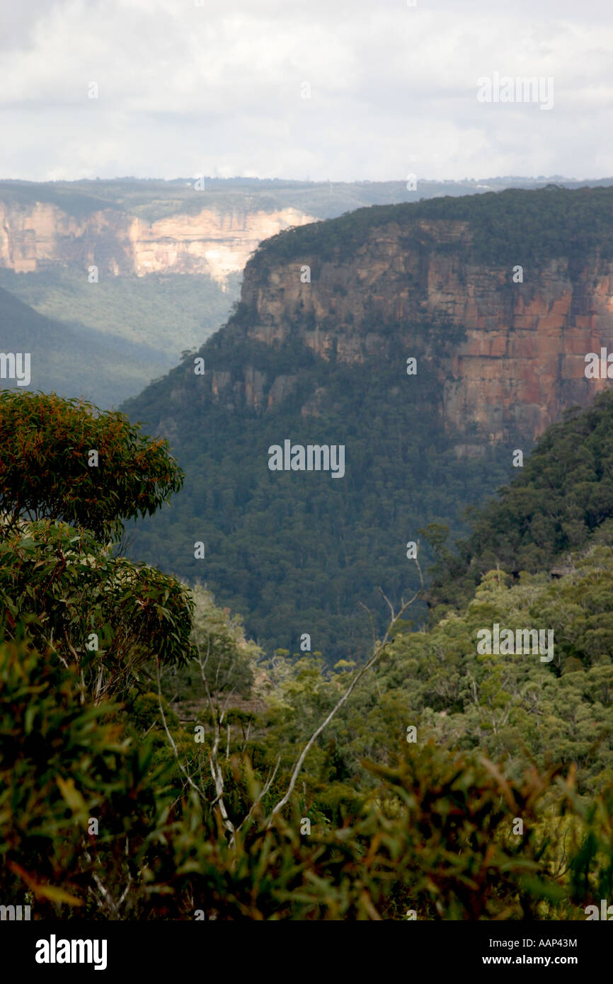 Blue Mountains range, New South Wales, Australia Stock Photo - Alamy