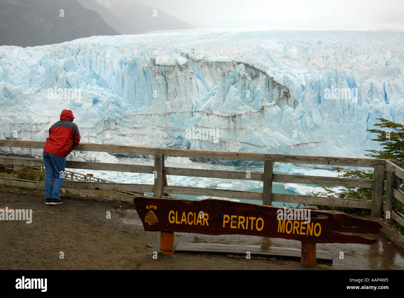 Argentina Tourist at the Perito Moreno Glacier Parque Nacional Los ...