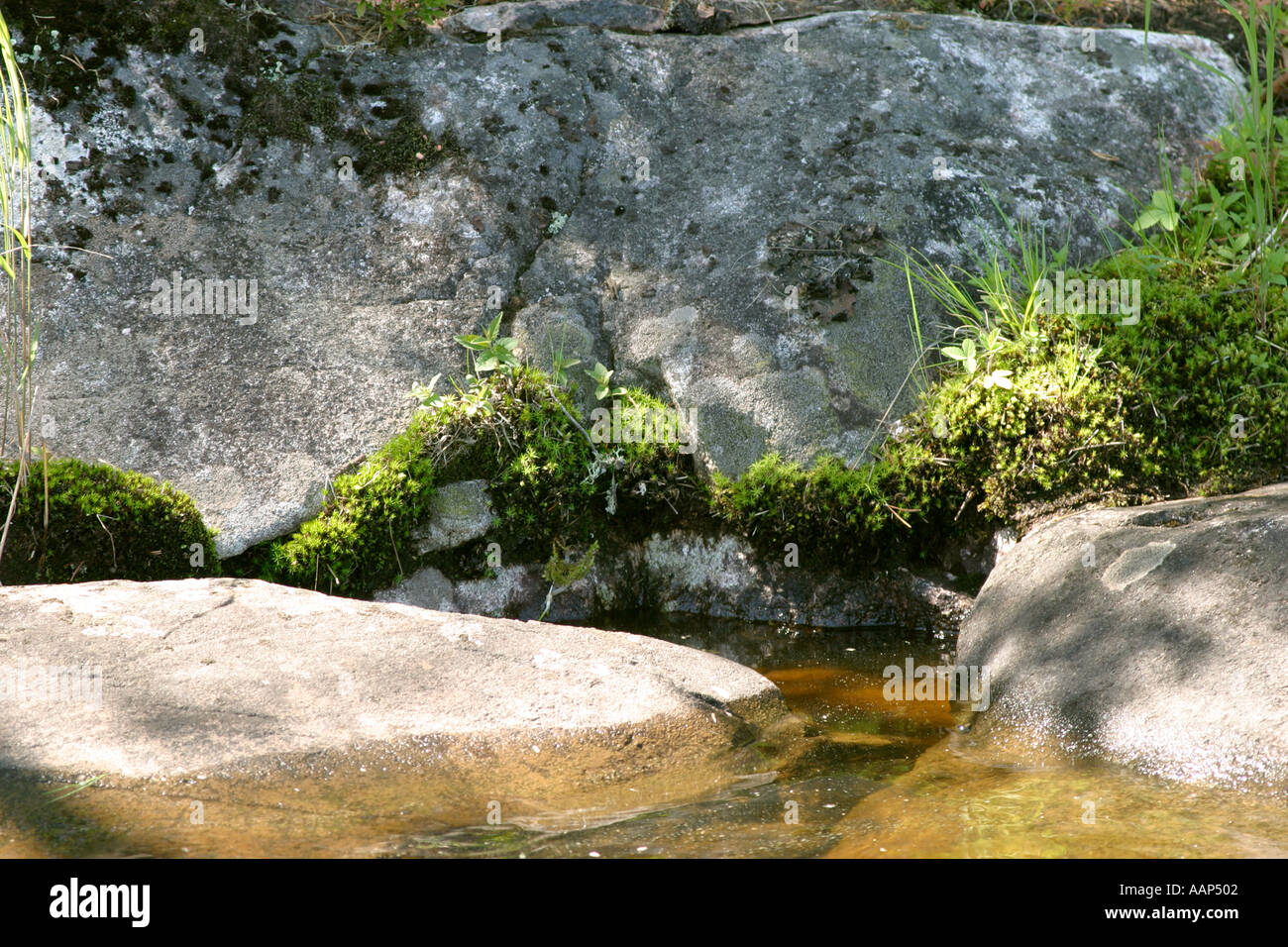 Moss water rocks lichen hi-res stock photography and images - Alamy