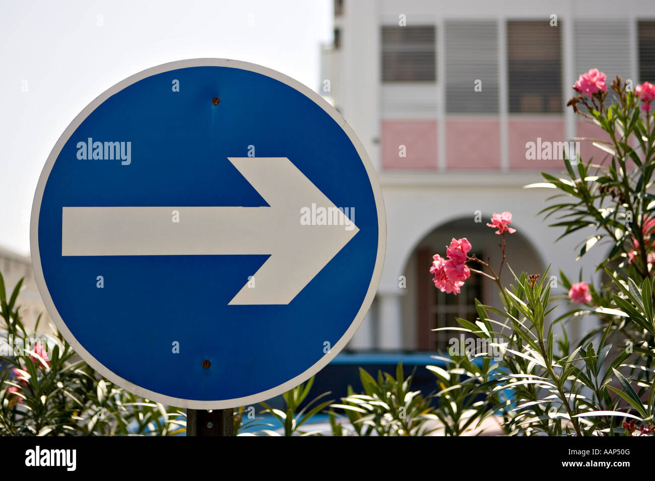 Round blue street sign with right facing white arrow in Nassau Bahamas ...