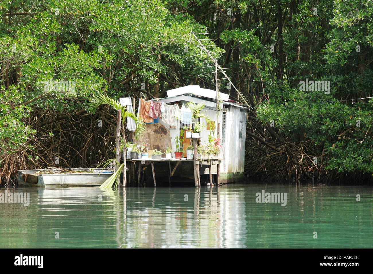 Laundry hangs outside a river shack on a Caribbean island against a ...