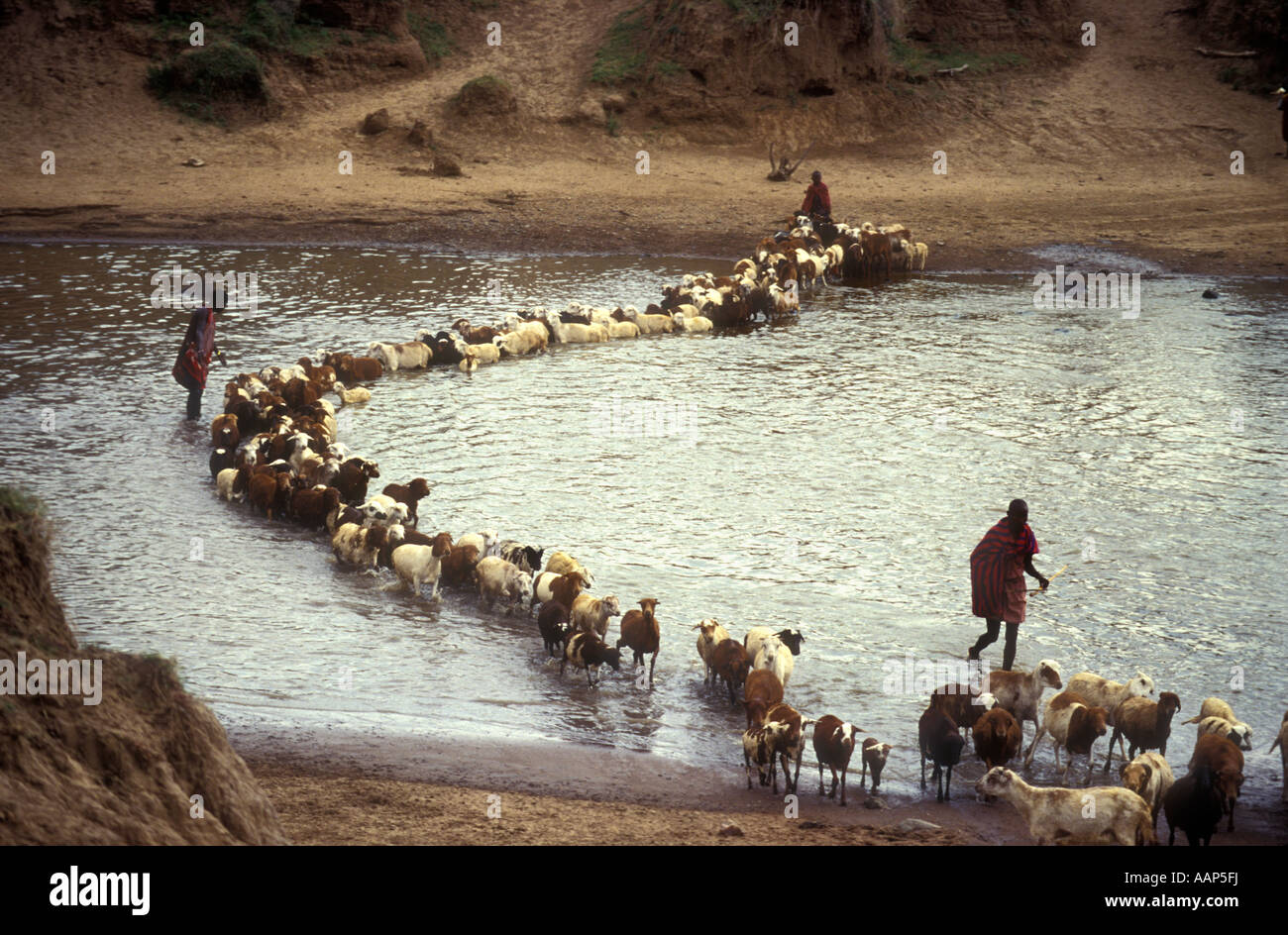 Cattle herdsmen hi-res stock photography and images - Alamy