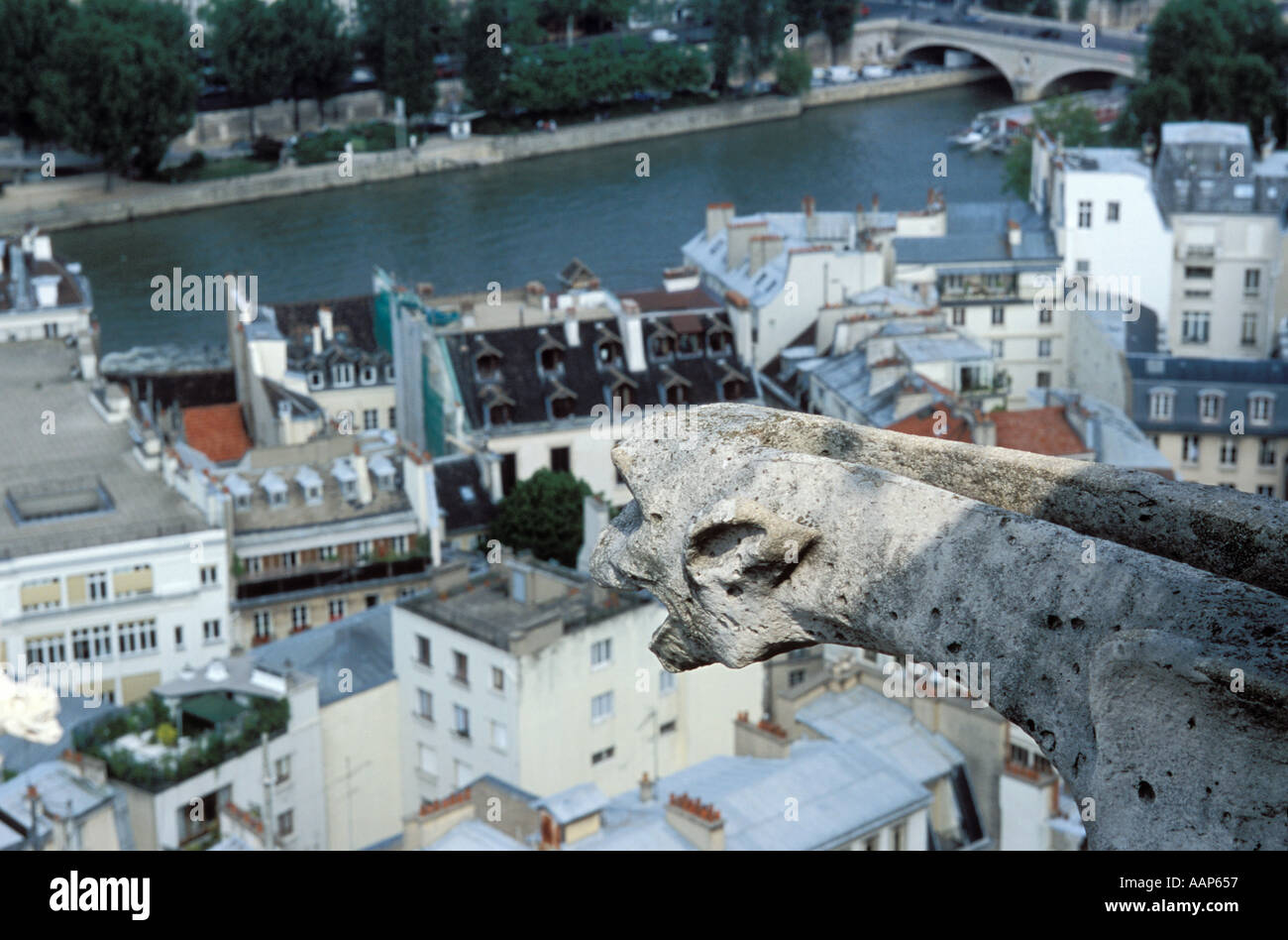 Roof of Paris - 2004 Stock Photo - Alamy