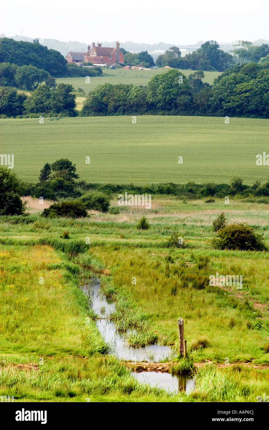 Drainage ditch in Combe Haven Valley SSSI between Bexhill and Hastings ...