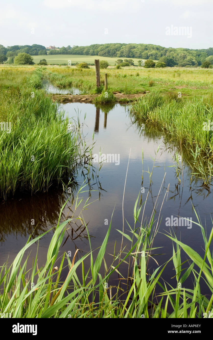 Drainage ditch in Combe Haven Valley SSSI between Bexhill and Hastings ...