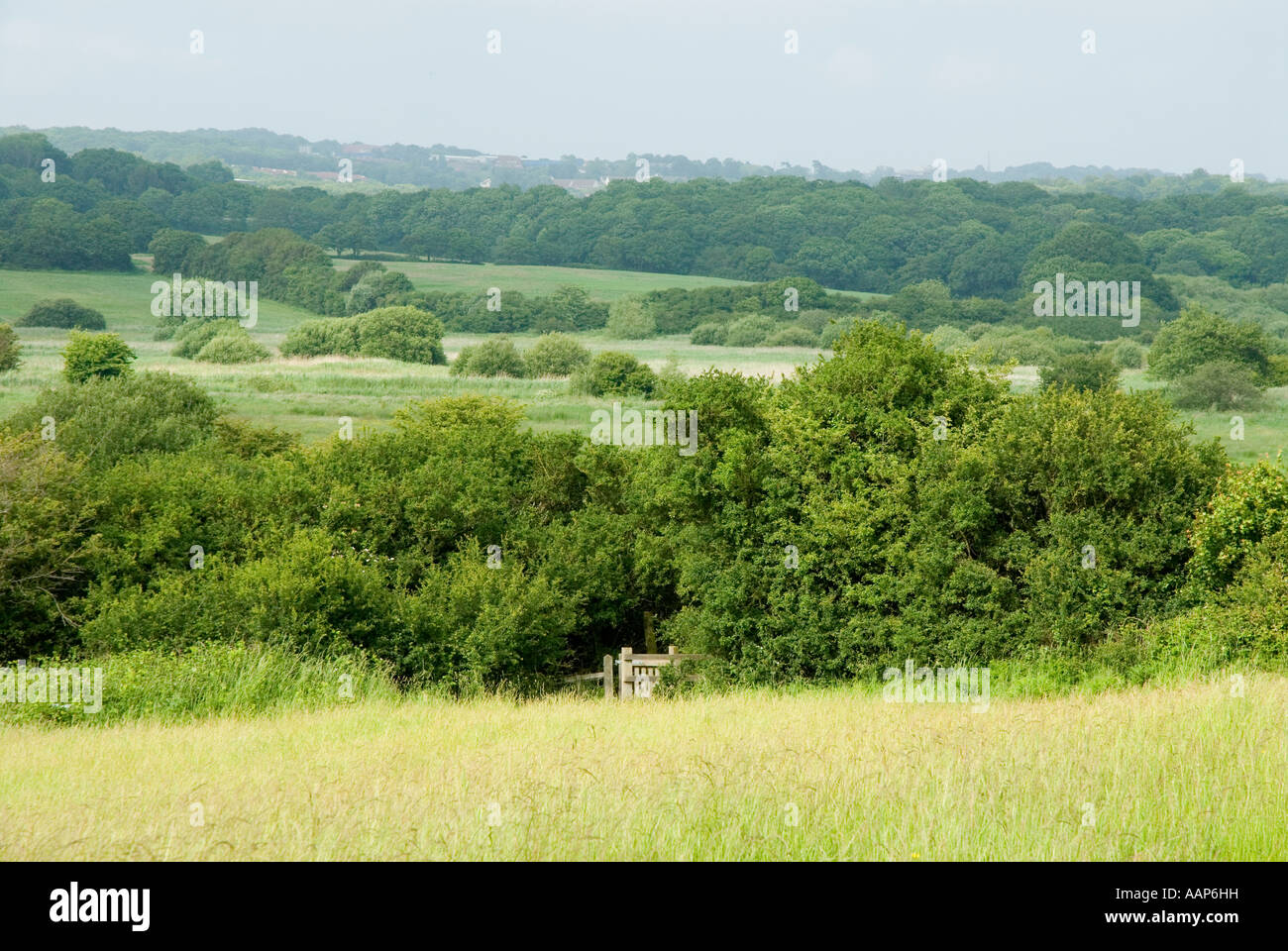 View of eastern end of Combe Haven Valley SSSI between Bexhill and ...