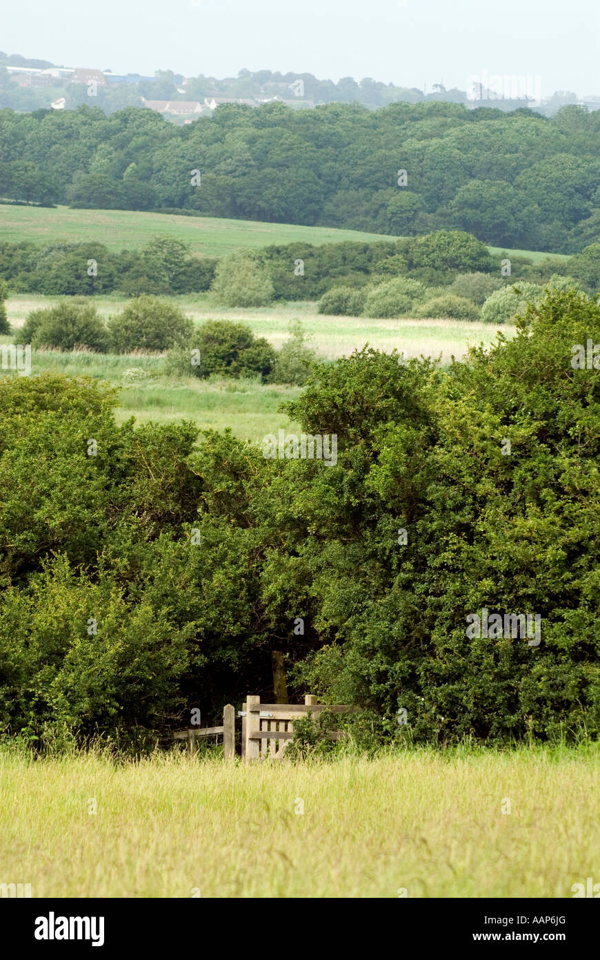 View of eastern end of Combe Haven Valley SSSI between Bexhill and ...