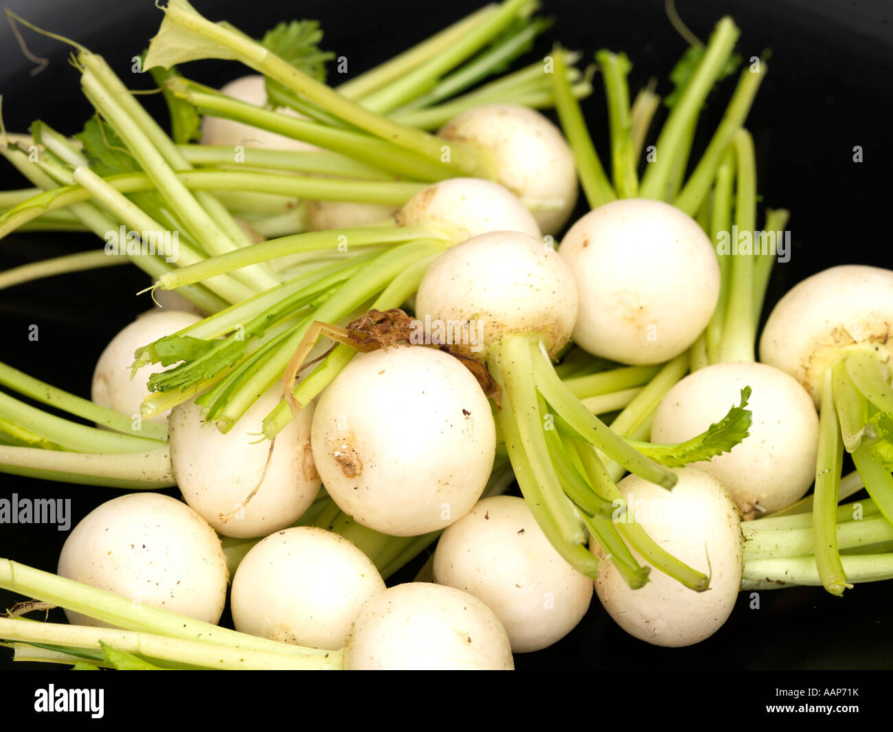 Baby turnips hi-res stock photography and images - Alamy