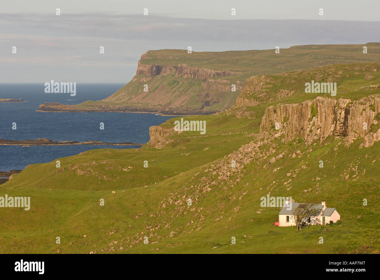 Crofters cottage on isle of Canna Scotland June Stock Photo - Alamy