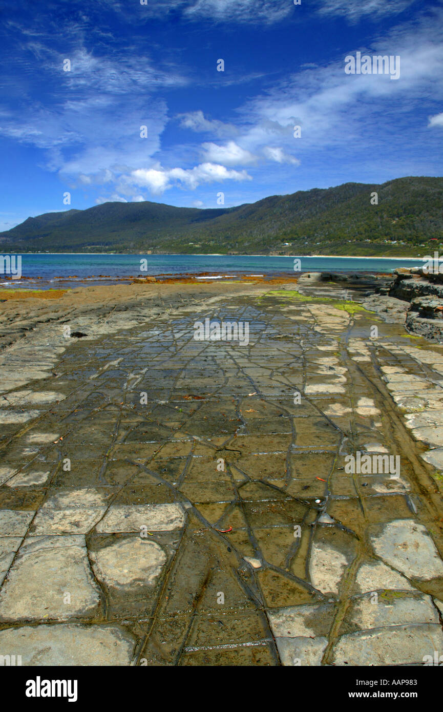The Tessalated Rocks near Eaglehawk Neck in Tasmania are formed from ...