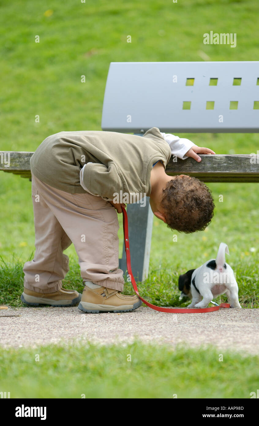 Boy looking under the bench with a little dog Stock Photo - Alamy
