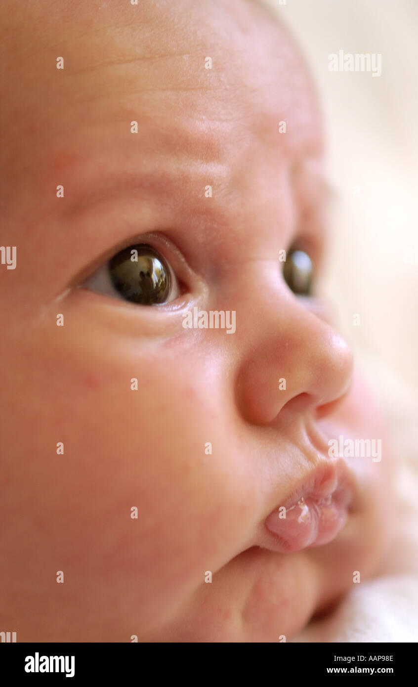 Baby portrait an profile Stock Photo - Alamy