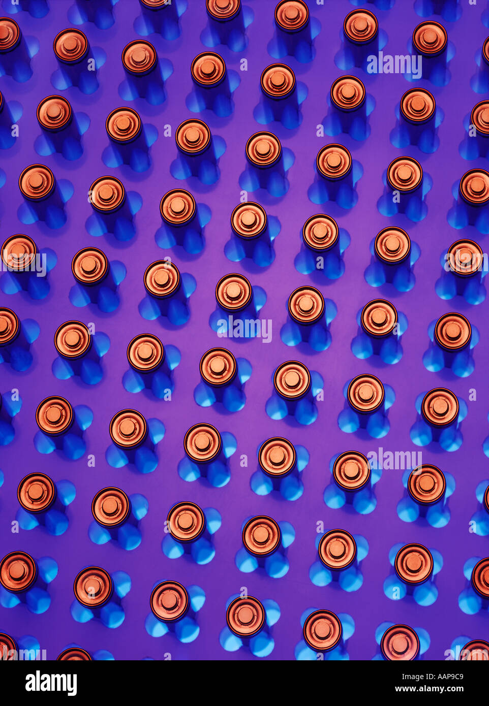 Large round cell hi-res stock photography and images - Alamy