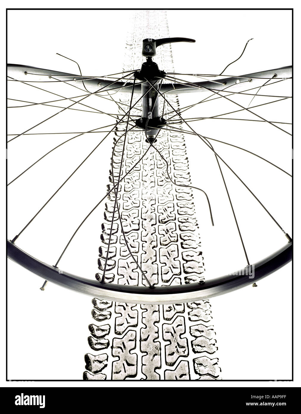 Broken cycle wheel with car tyre tracks Stock Photo - Alamy