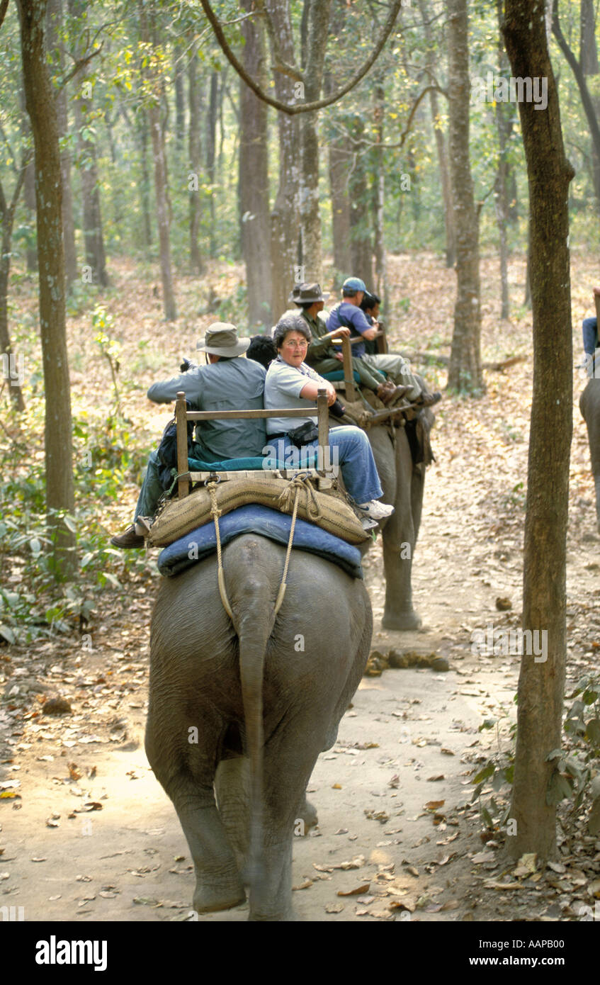 Tiger watching elephant back tourism hi-res stock photography and ...