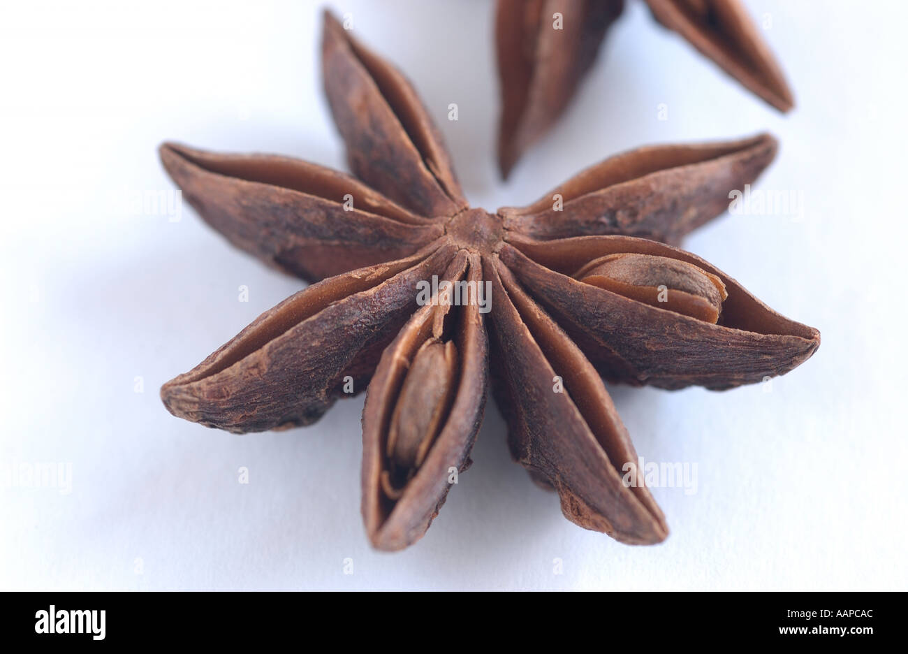 Star anise five spice powder ingredient on white background Stock Photo ...