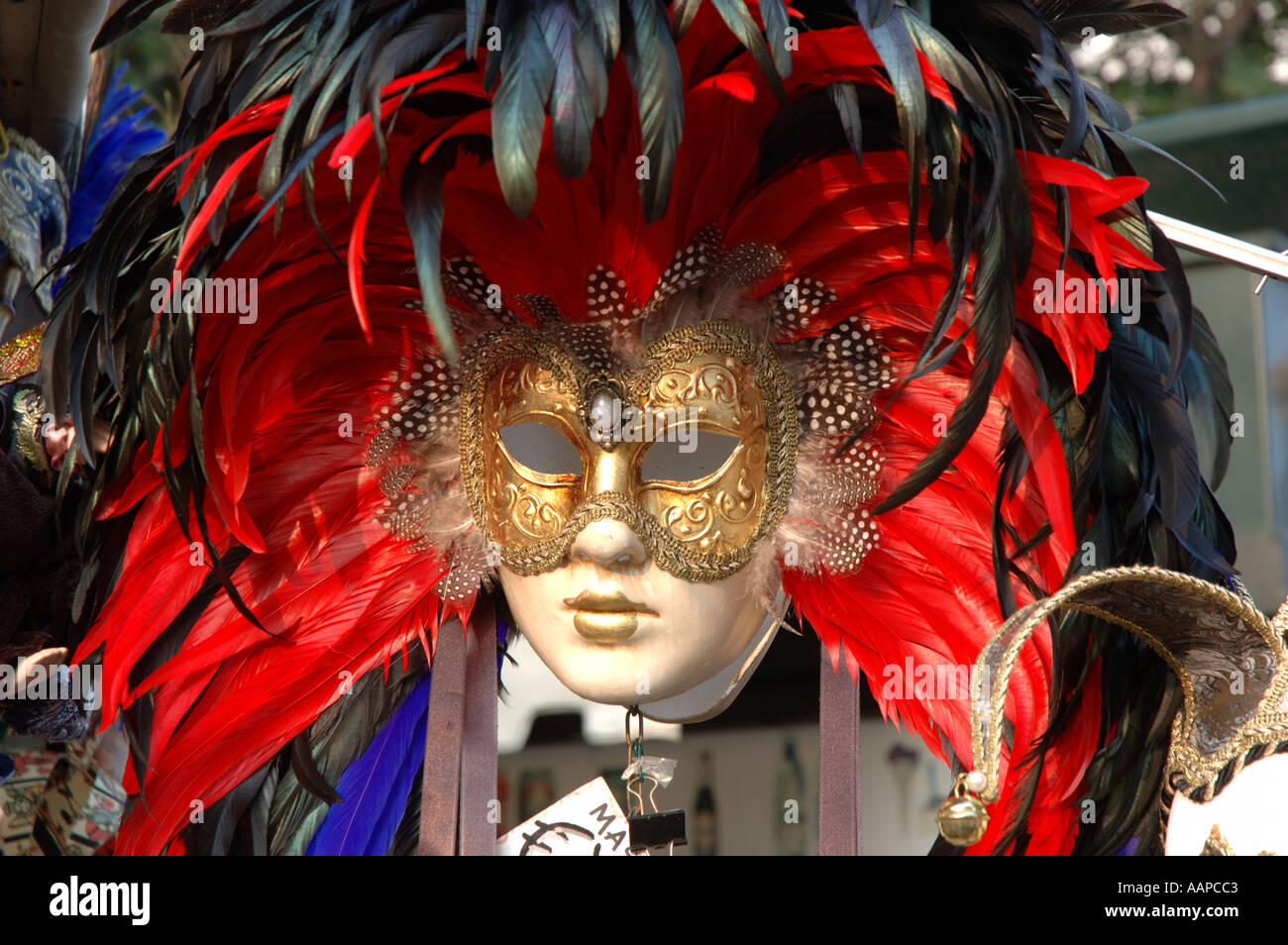 Once part of the eccentric way of life in medieval Venice use of the ...