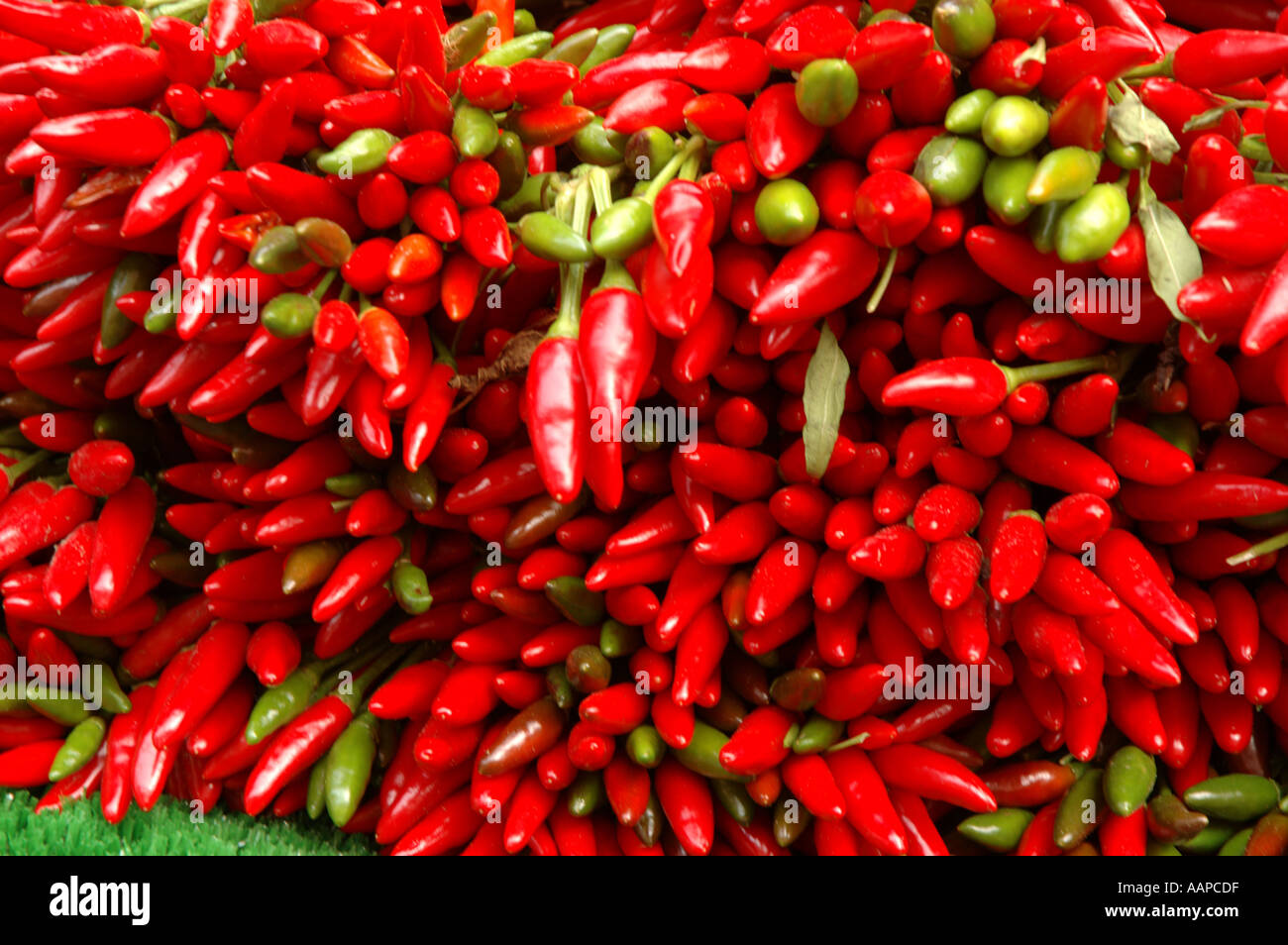 Venice italy red chili pepper hi-res stock photography and images - Alamy