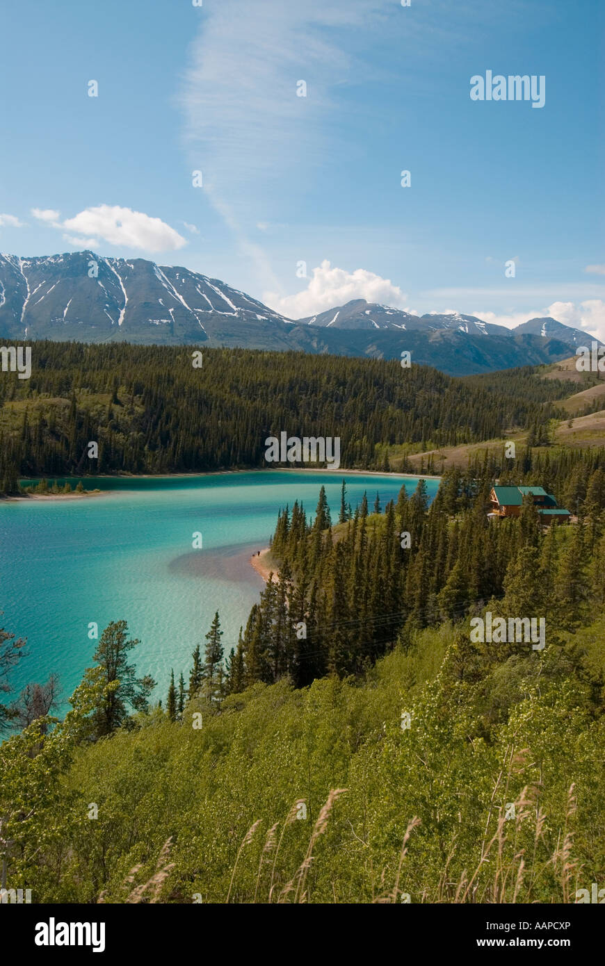 Emerald Lake in between Carcross and Whitehorse Yukon Canada Stock ...