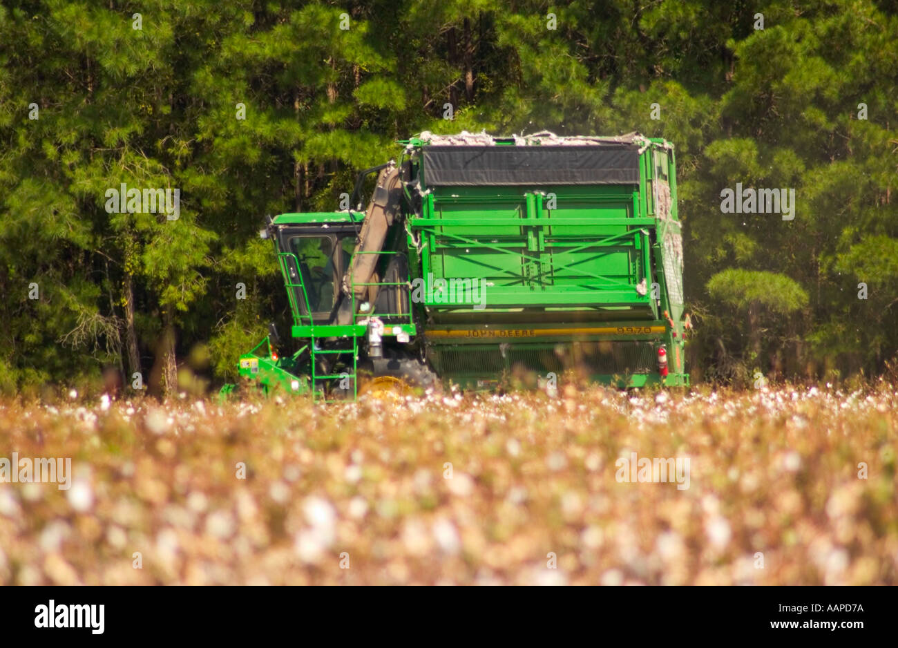 John daniel rust hi-res stock photography and images - Alamy