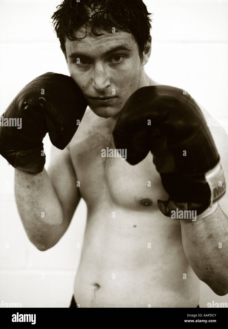 Loser boxer hi-res stock photography and images - Alamy