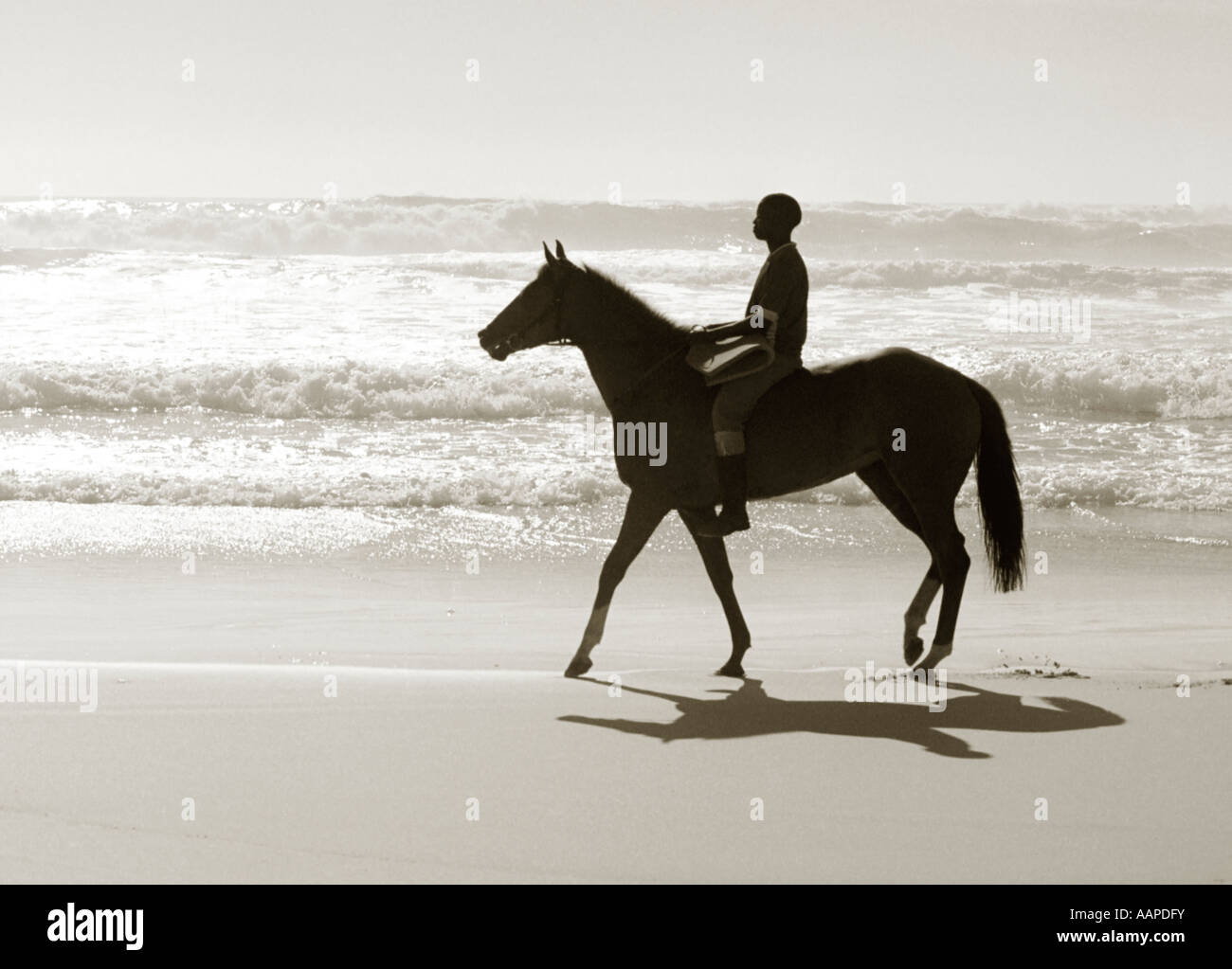 Boy riding horse on beach Stock Photo - Alamy