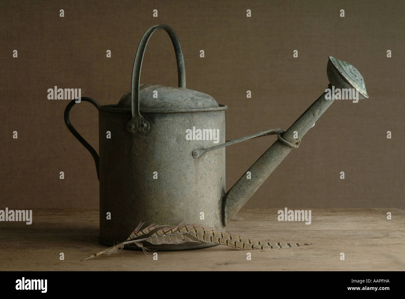 Watering Can and Pheasant feather Stock Photo - Alamy