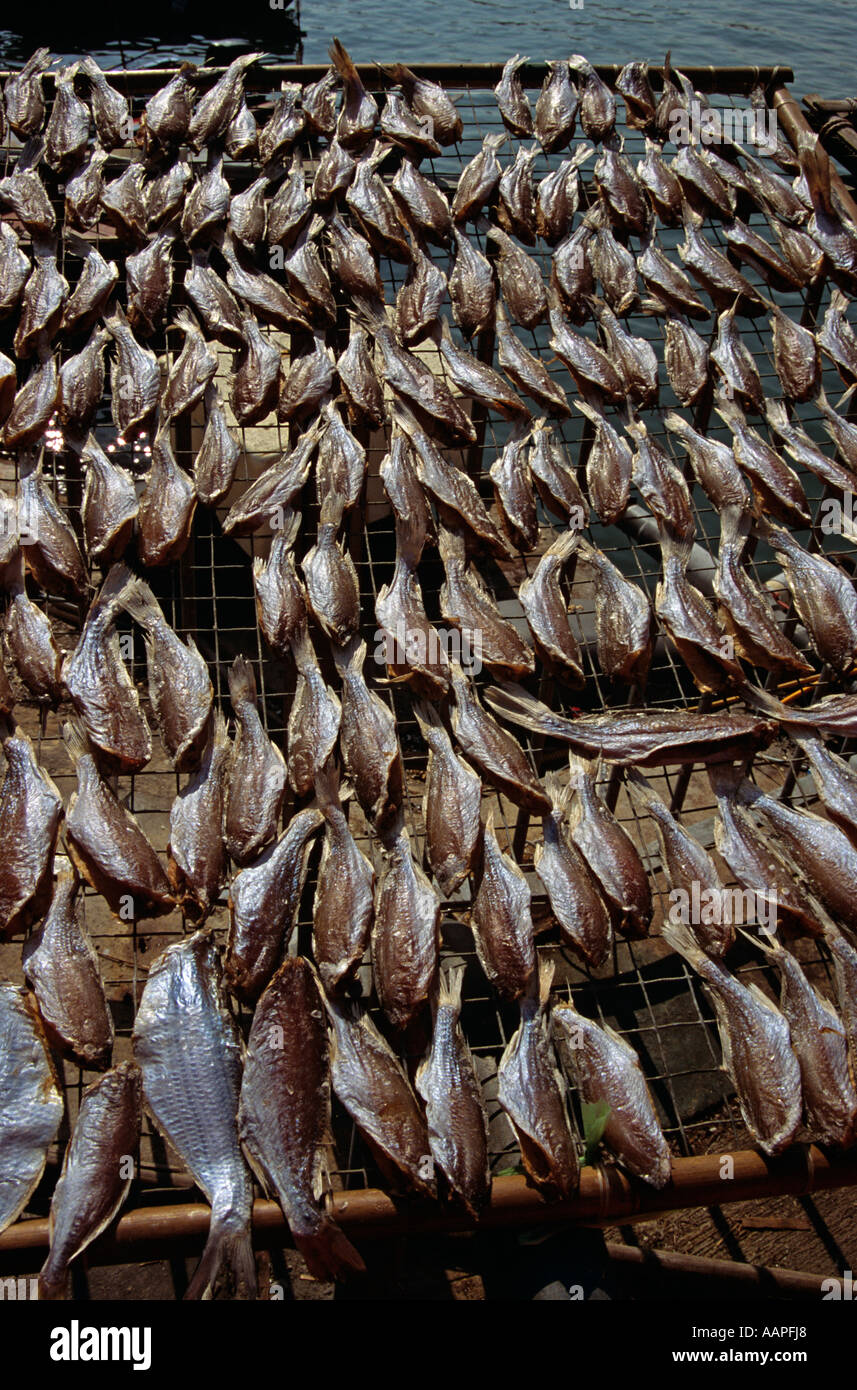 Fish drying in harbour, Cheung Chau Island, Hong Kong, China Stock ...