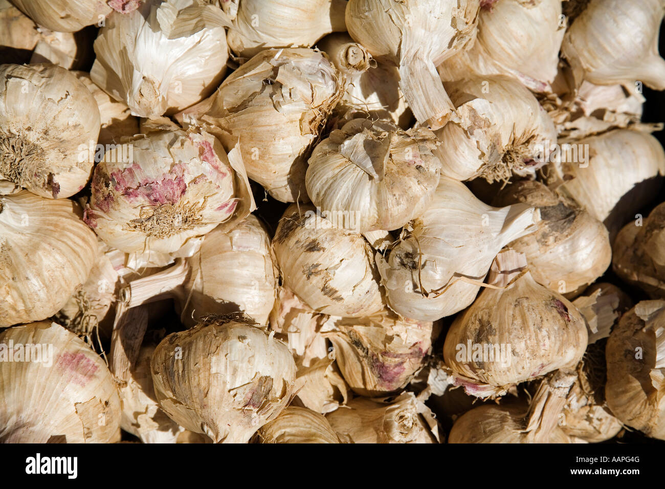 Ajos hi-res stock photography and images - Alamy